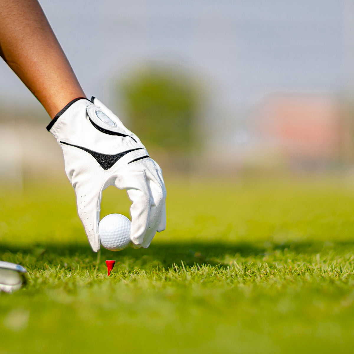 Discover the USG collection